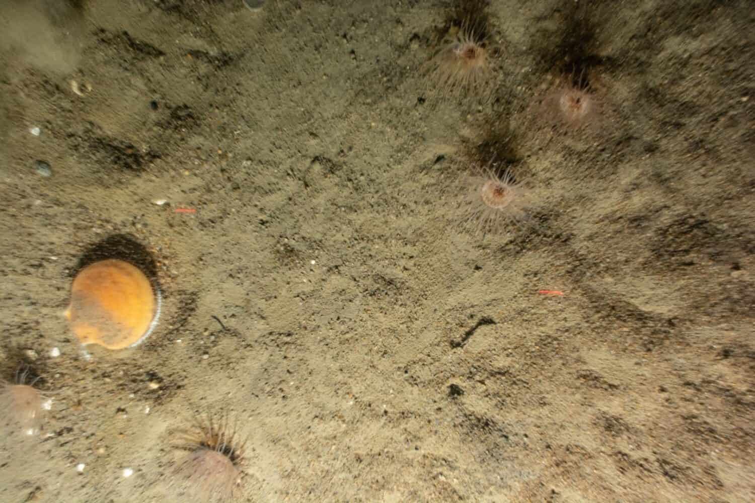 Aquaculture - Inspire Environmental