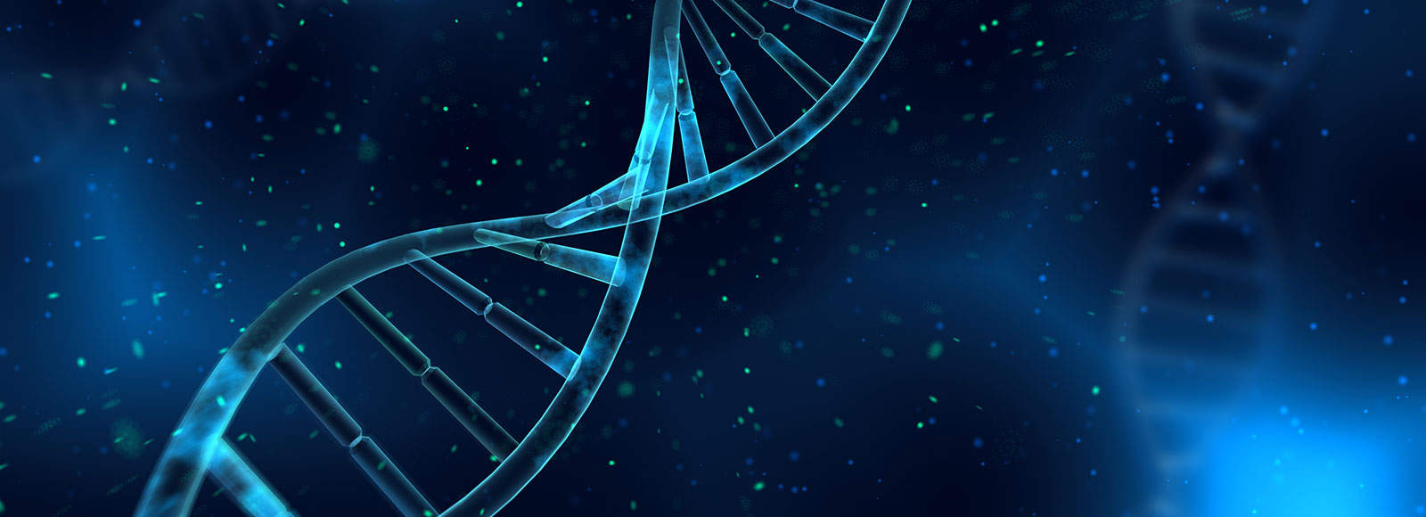 Environmental DNA (eDNA) Studies - Inspire Environmental Environmental DNA (eDNA) Studies - Inspire Environmental